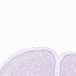 Interactive Atlas Viewer :: Atlas Viewer