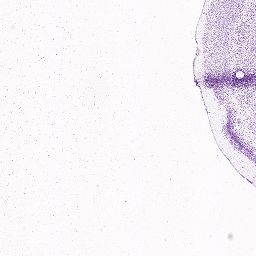 Interactive Atlas Viewer :: Atlas Viewer