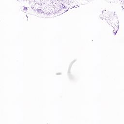 Interactive Atlas Viewer :: Atlas Viewer