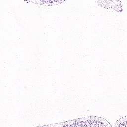 Interactive Atlas Viewer :: Atlas Viewer