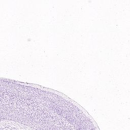 Interactive Atlas Viewer :: Atlas Viewer