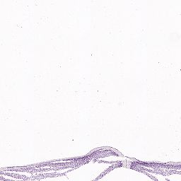 Interactive Atlas Viewer :: Atlas Viewer