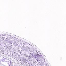 Interactive Atlas Viewer :: Atlas Viewer