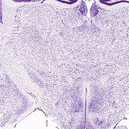 Interactive Atlas Viewer :: Atlas Viewer