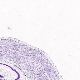 Interactive Atlas Viewer :: Atlas Viewer