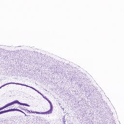 Interactive Atlas Viewer :: Atlas Viewer