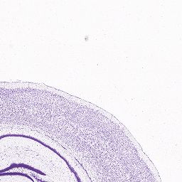 Interactive Atlas Viewer :: Atlas Viewer