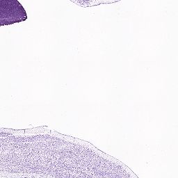 Interactive Atlas Viewer :: Atlas Viewer