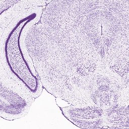 Interactive Atlas Viewer :: Atlas Viewer