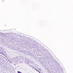 Interactive Atlas Viewer :: Atlas Viewer