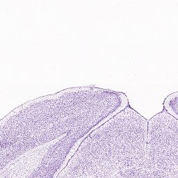 Interactive Atlas Viewer :: Atlas Viewer