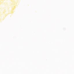 Interactive Atlas Viewer :: Atlas Viewer