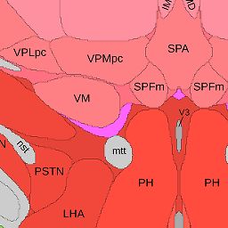 Interactive Atlas Viewer :: Atlas Viewer