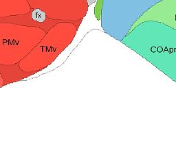 Interactive Atlas Viewer :: Atlas Viewer