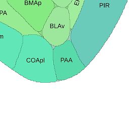 Interactive Atlas Viewer :: Atlas Viewer
