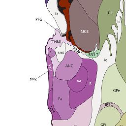 Interactive Atlas Viewer :: Atlas Viewer