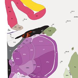 Interactive Atlas Viewer :: Atlas Viewer