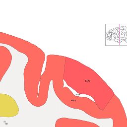 Interactive Atlas Viewer :: Atlas Viewer